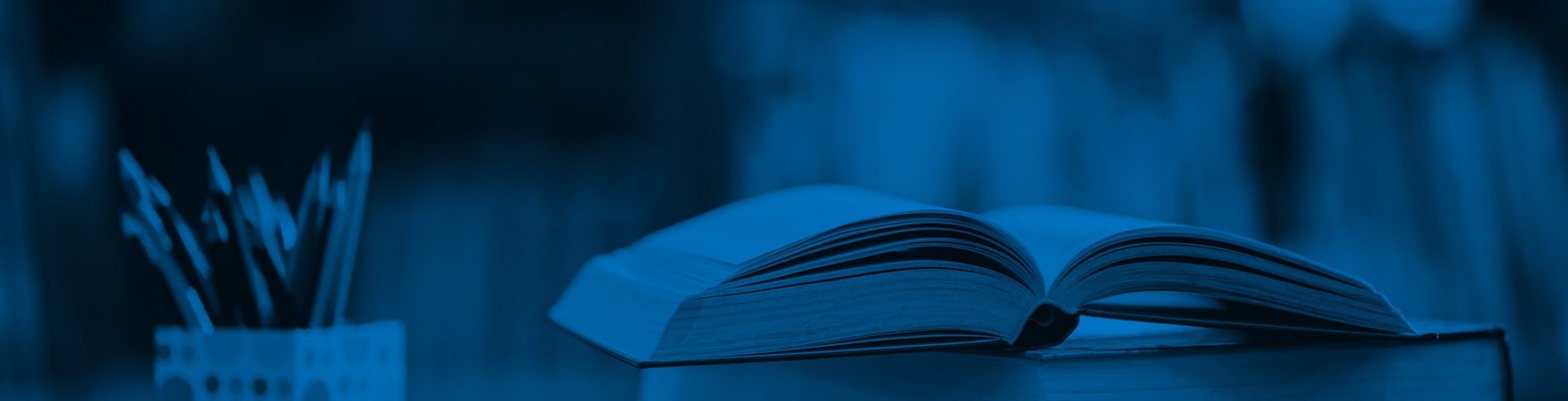 Aspen Process Manuals