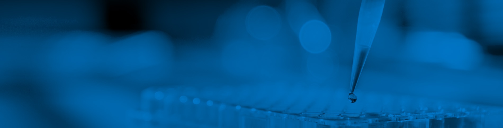 Batch Modeling in Aspen Plus