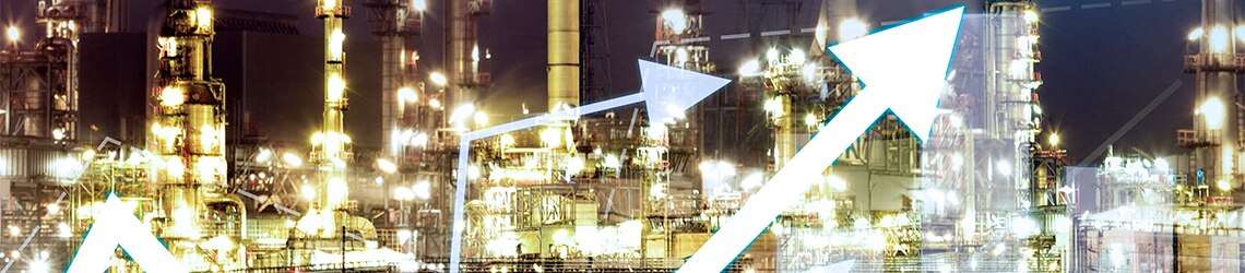 Refining Experts Share Best Practices in Margin Optimization