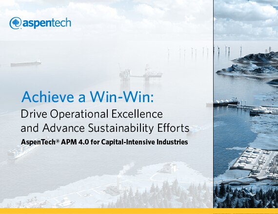 Achieve a Win-Win: Drive Operational Excellence and Advance ...