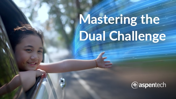 Mastering the Dual Challenge