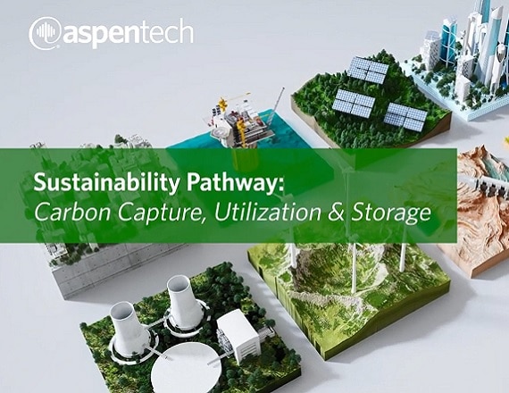 Sustainability Pathway Carbon Capture Utilization And Storage